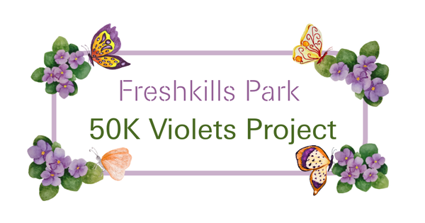 50K Violets at Freshkills Park